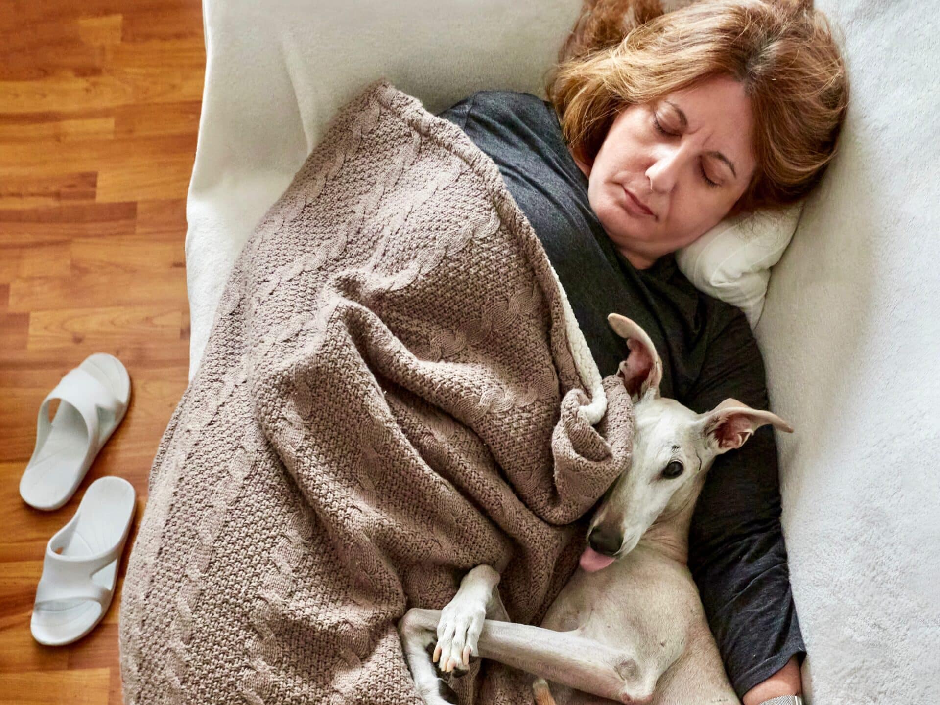 Zakaj spimo? | zdravaglava.si